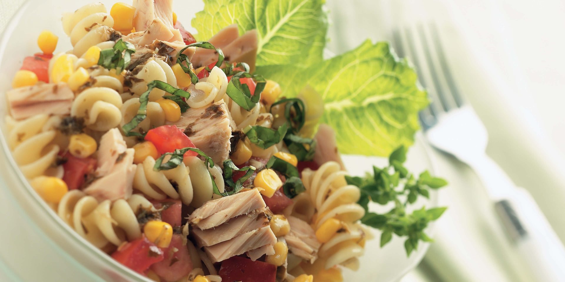 Salade au thon et aux pâtes rafraîchissante - Clover Leaf