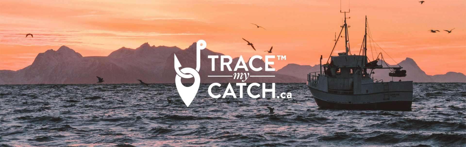 Trace My Catch - Clover Leaf